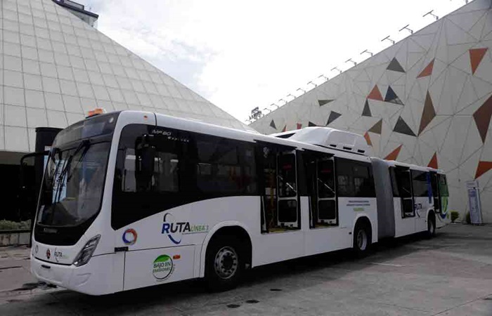 Línea 3 de RUTA para finales de octubre - Pasajero7